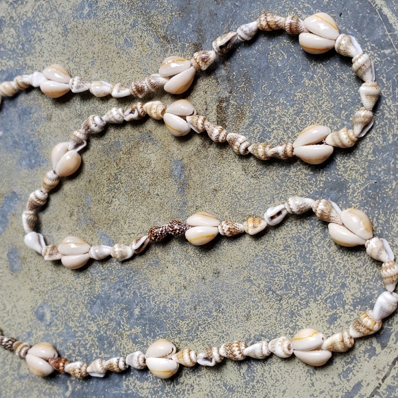 Jewelry | Vintage Shell Necklace | Poshmark